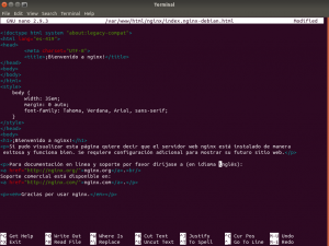 Instalando nginx en Ubuntu 18 – KS7000+WP